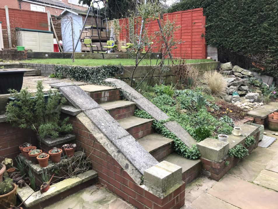 First time vegetable garden project