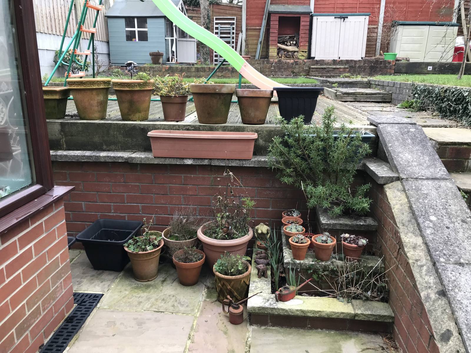 First time vegetable garden project